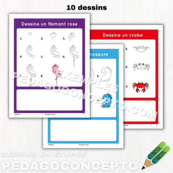 Dessins en étapes - PedagoConcepto