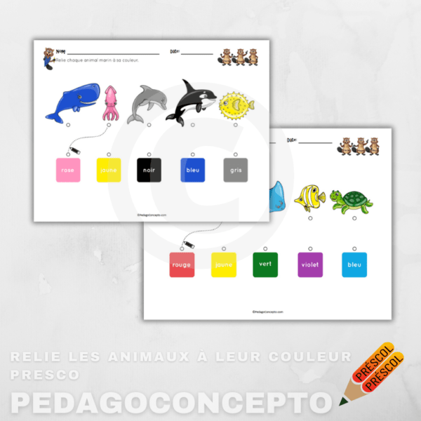 Relie les animaux à leur couleur-presco - PedagoConcepto