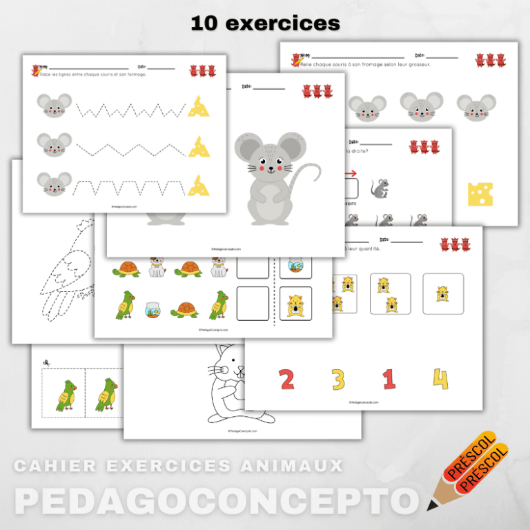Cahier exercices et animaux - PedagoConcepto