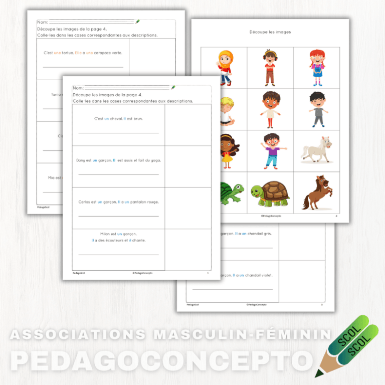 Associations masculin-féminin - PedagoConcepto