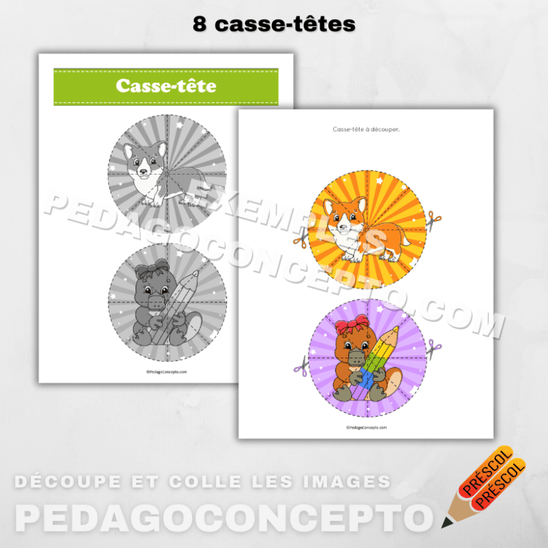 Découpe et colle les images - PedagoConcepto