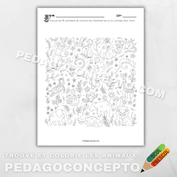 Trouve et colorie les animaux - PedagoConcepto